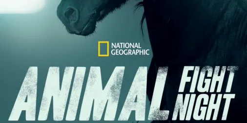 Watch Animal Fight Night | Full Episodes | Disney+
