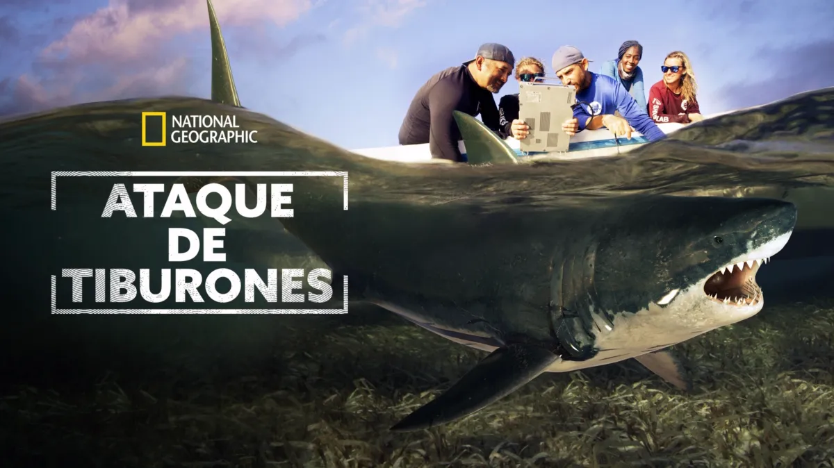 Ver Ataque de tiburones | Disney+